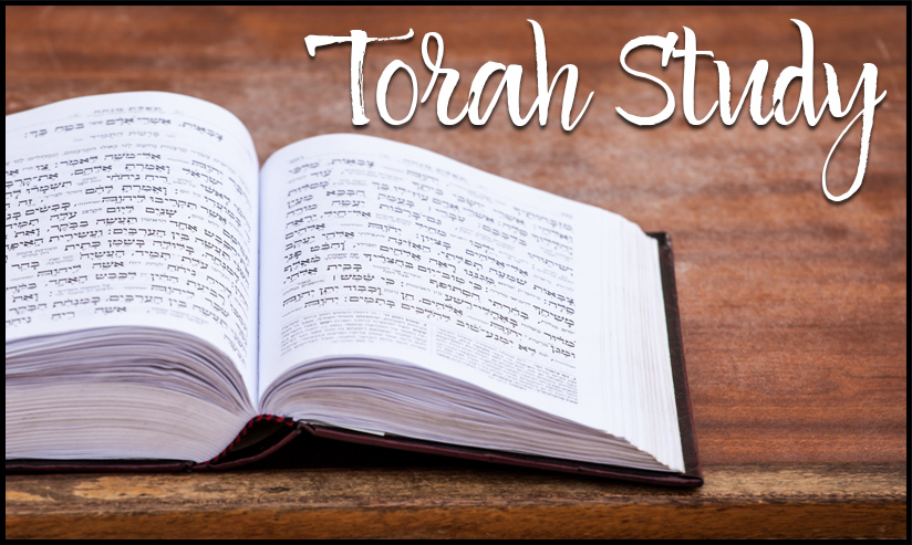 Torah Study – Congregation Knesseth Israel